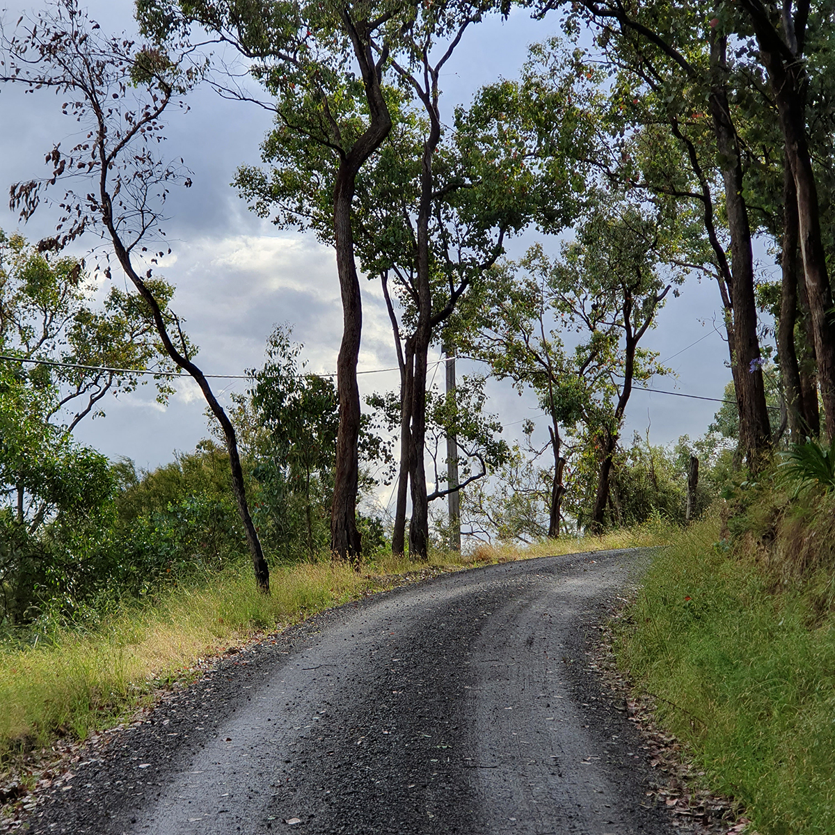 A new year – Words From The Edge